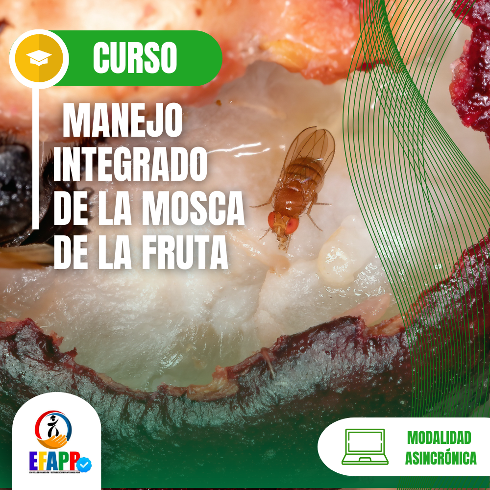 CURSO: MANEJO INTEGRADO DE LA MOSCA DE LA FRUTA – Escuela EFAPP